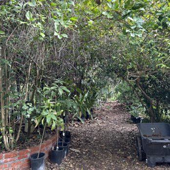 EXOTICA RARE FRUIT NURSERY - Updated December 2025 - 330 Photos & 124 ...