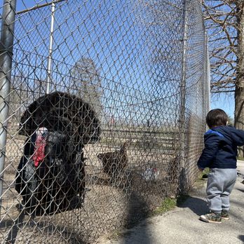 SUSON PARK - Updated August 2025 - 159 Photos & 42 Reviews - 6059 Wells ...