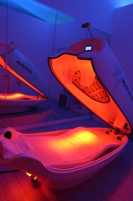 MUSCLE LAB - Updated December 2025 - 151 Photos & 113 Reviews - 2381 E ...