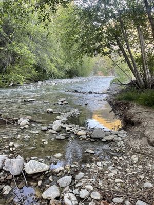 CAMP WILLIAMS RESORT - Updated December 2025 - 185 Photos & 71 Reviews ...