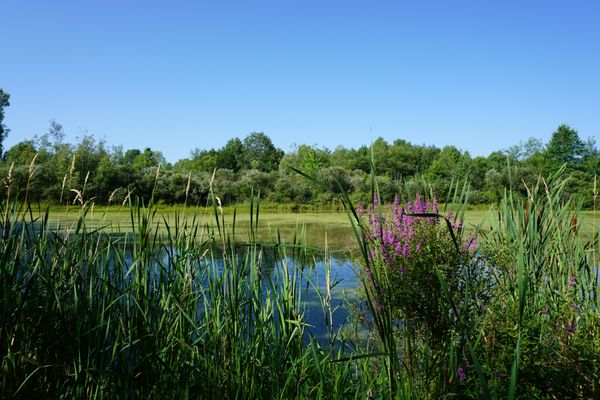 SUMMIT METRO PARKS - Updated August 2025 - 14 Photos & 10 Reviews - 975 ...