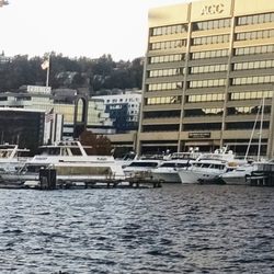 PEMCO INSURANCE - 12 Photos & 172 Reviews - 1300 Dexter Ave N, Seattle ...