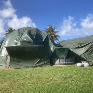 PEST TECH HAWAII - 68 Photos & 87 Reviews - 2007A Waterhouse St ...