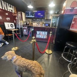 WINKY DINKY DOGS - Updated July 2025 - 50 Photos & 37 Reviews - 325 ...