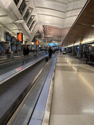 EVA AIR - Updated January 2026 - 111 Photos & 77 Reviews - 380 World ...