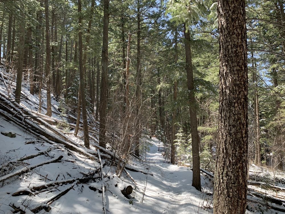 APEX TRAIL - 109 Photos & 32 Reviews - 1470 10th St, Golden, Colorado ...