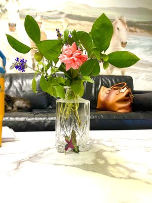 BODY TEMPLE COLONICS - Updated December 2025 - 62 Photos & 79 Reviews ...