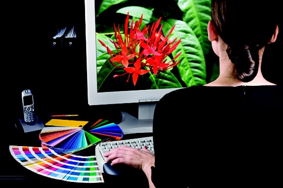 ALLEGRA PRINT & IMAGING - Updated September 2025 - 56 E 6T St, Saint ...