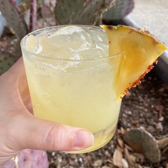 PINK CACTUS - 264 Photos & 182 Reviews - 100 A Spring St, Charleston ...