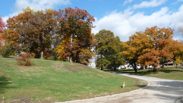 LINCOLN PARK - Updated January 2026 - 5TH St E, Springfield, Illinois ...