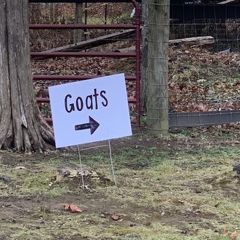 MESSICK’S FARM MARKET - Updated September 2024 - 140 Photos & 85 ...