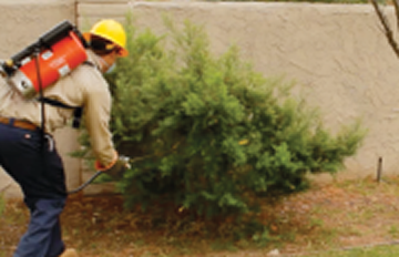 CORKY’S PEST CONTROL - 24 Photos & 488 Reviews - 909 Rancheros Dr, San ...