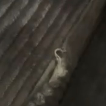 MENARDS - Updated December 2025 - 81 Photos & 77 Reviews - 715 Fort ...