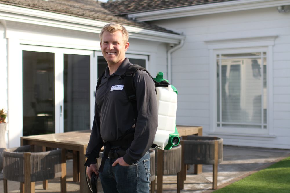 GLOBAL RODENT AND PEST SERVICES - Updated March 2026 - 26 Reviews ...