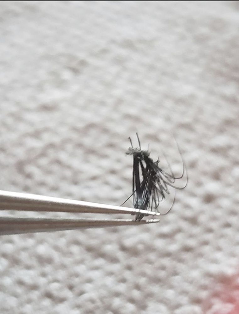 NEVADA NAILS & SPA - Updated November 2025 - 1158 Photos & 767 Reviews ...