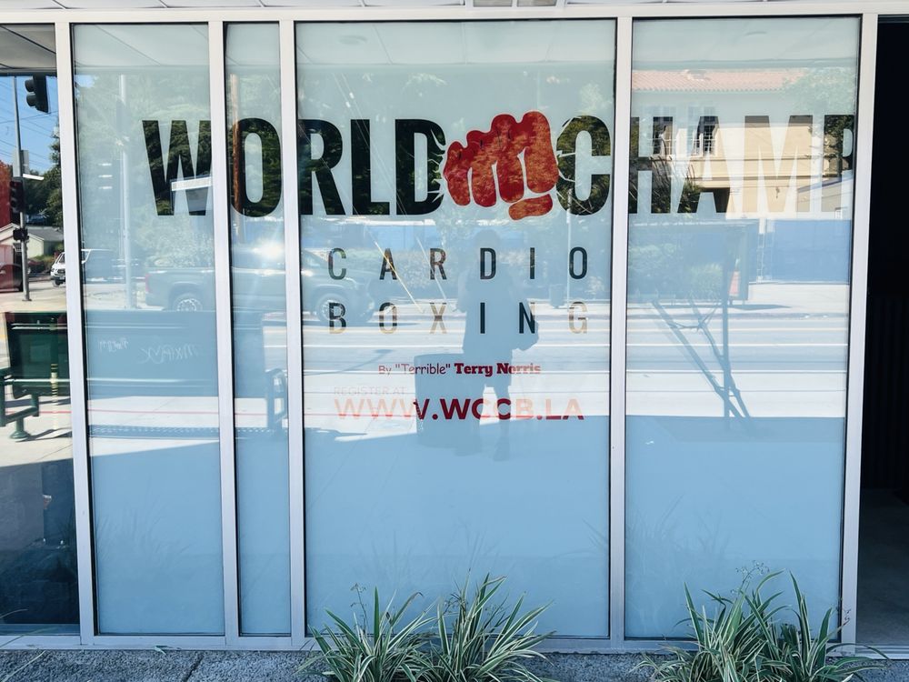 WORLD CHAMPION CARDIO BOXING - Updated January 2026 - 248 Photos & 172 ...