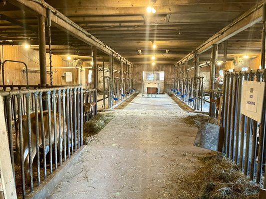 FISH FAMILY FARM - Updated August 2025 - 189 Photos & 40 Reviews - 20 ...