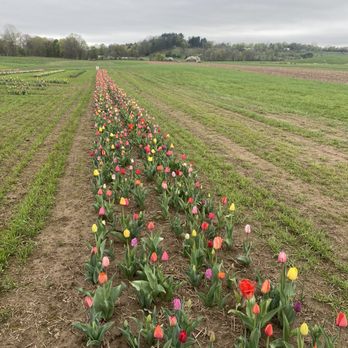 KELDER’S FARM - TEMP. CLOSED - Updated December 2025 - 199 Photos & 70 ...