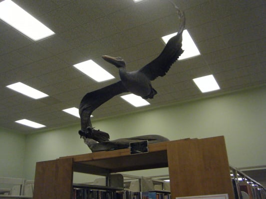 VOLUSIA COUNTY LIBRARY CENTER - Updated July 2025 - 21 Photos & 11 ...