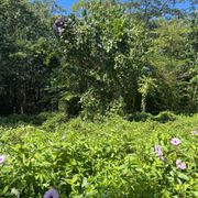 PIÑONES - 133 Photos & 66 Reviews - Campamento Piñones, Loíza, Puerto ...