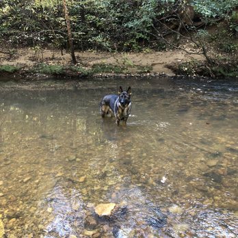 ALUM SPRING PARK - Updated December 2025 - 24 Photos & 24 Reviews - 99 ...