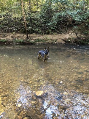 ALUM SPRING PARK - 24 Photos & 18 Reviews - Parks - Greenbrier Dr ...