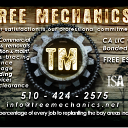 Best Tree Services Near Me - August 2022: Find Nearby Tree Services ...