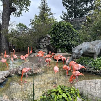 CHARLES PADDOCK ZOO - Updated August 2025 - 322 Photos & 160 Reviews ...