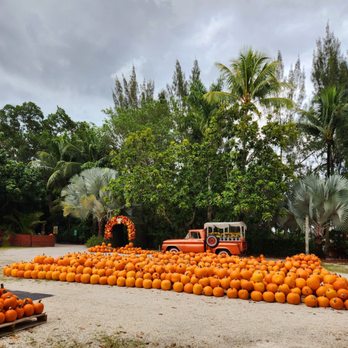 PINTO’S FARM - Updated August 2025 - 549 Photos & 179 Reviews - 14890 ...