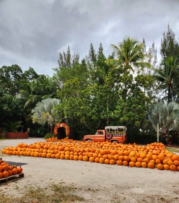 PINTO’S FARM - Updated January 2025 - 514 Photos & 173 Reviews - 14890 ...