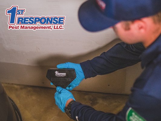 1ST RESPONSE PEST MANAGEMENT - Updated January 2026 - 16 Photos & 37 Reviews - 10346 Sawmill Rd ...