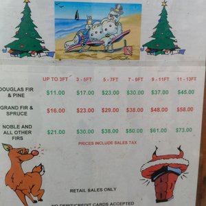 HEMSTROM VALLEY TREE FARM CHRISTMAS TREES - Updated November 2024 - 19 ...