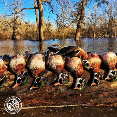 MOODY RANCH OUTFITTERS - Updated December 2025 - 14 Photos - 4609 ...