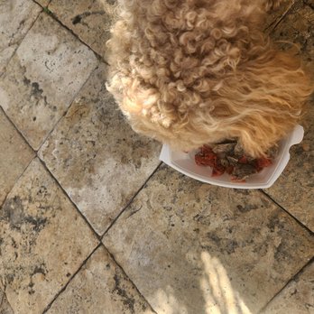 JUNGLE PRADA TAVERN - Updated October 2025 - 106 Photos - 190 Reviews ...