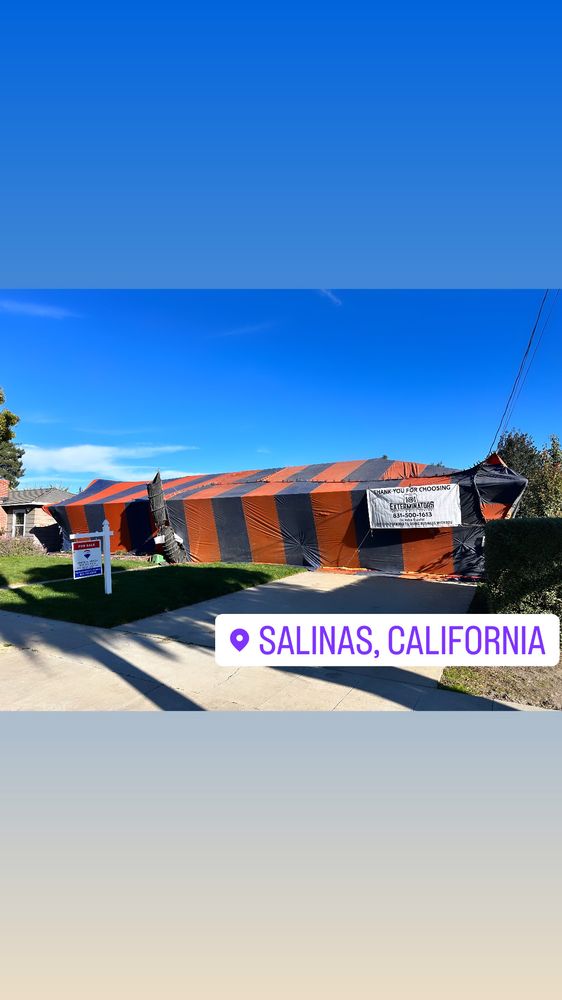 101 EXTERMINATORS - Updated February 2025 - 1628 N Main St, Salinas ...