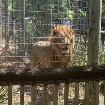 ZOOLOGICAL WILDLIFE FOUNDATION - Updated June 2024 - 866 Photos & 239 ...