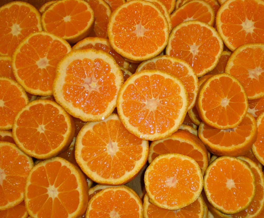 TRI-L MANDARIN RANCH - Updated January 2026 - 10 Reviews - Mt Ida Rd ...