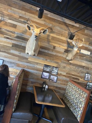 BEAVERS PUB - 119 Photos & 54 Reviews - Pubs - 200 Center Ave, Bay City ...