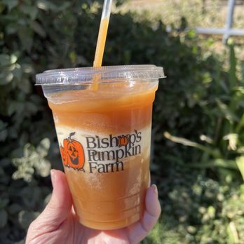 BISHOP’S PUMPKIN FARM - Updated September 2025 - 1244 Photos & 589 ...