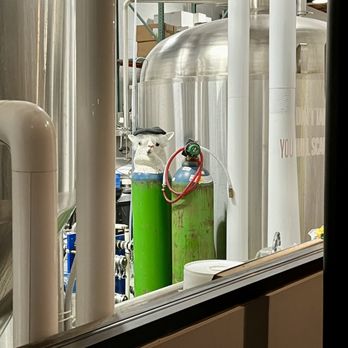 BREW LINK BREWING - Updated August 2025 - 358 Photos & 143 Reviews ...