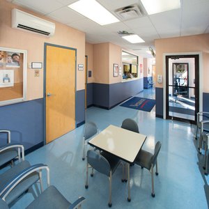 LABCORP - Updated December 2025 - 16 Reviews - 850 S State St, Dover ...