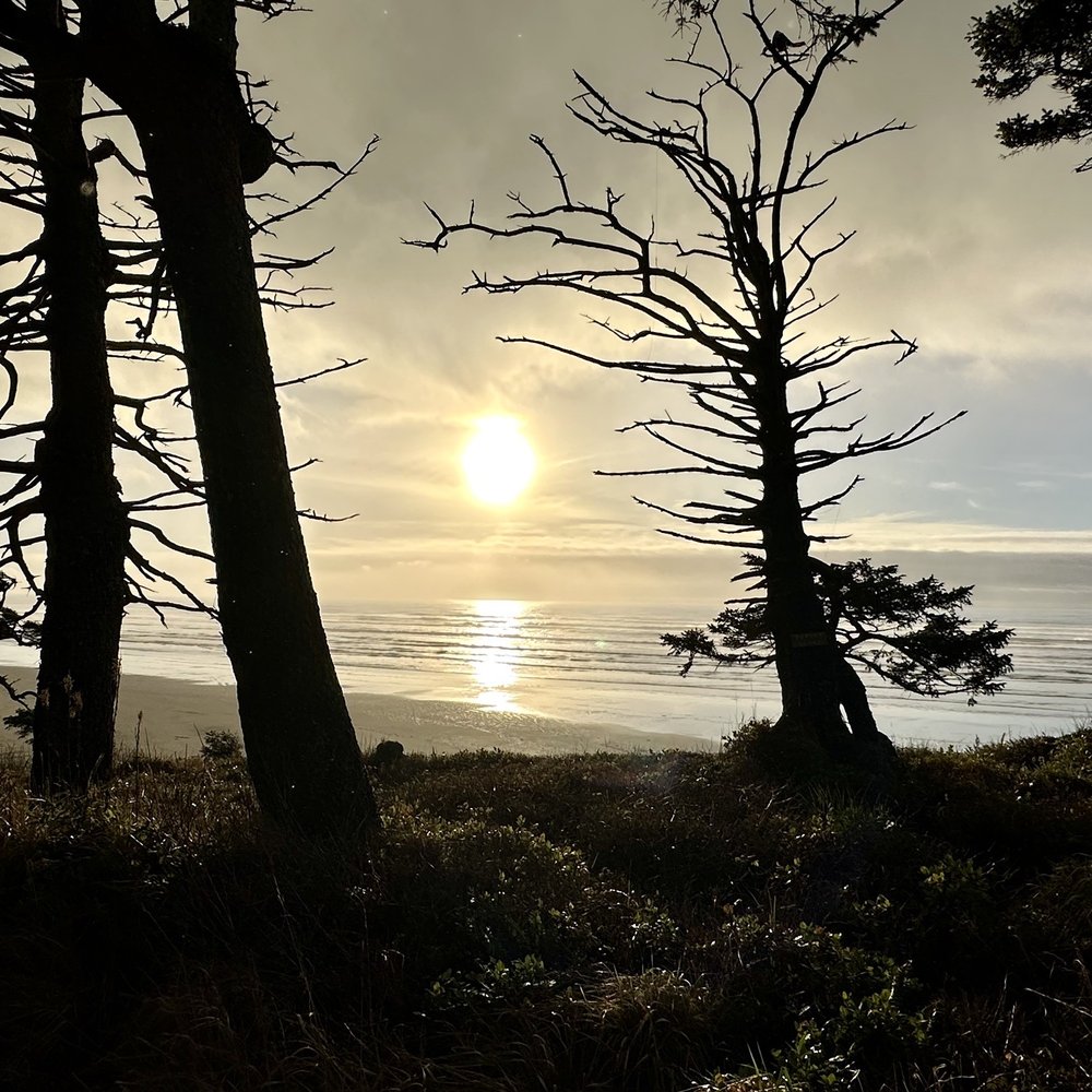 Copalis Beach Wa Lodging