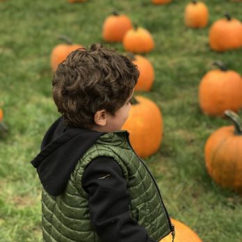 FOUR TOWN FARM - Updated September 2025 - 129 Photos & 87 Reviews - 90 ...