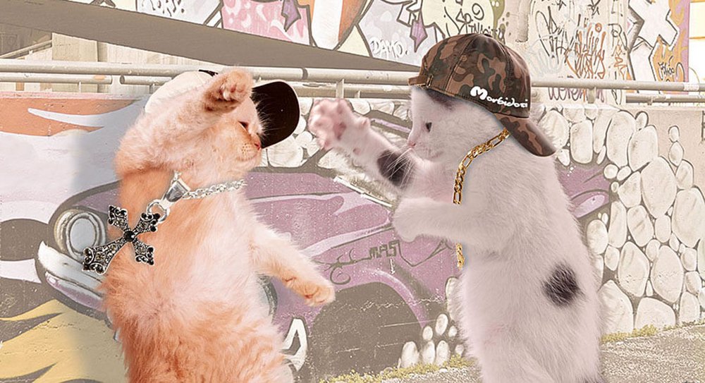 RICREA GRAFICA - Graphic Design - Piazzale Brescia 16, Milano, Italy ...