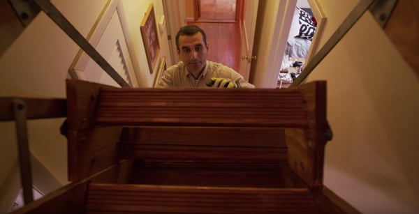 ARTERIX PEST CONTROL - Updated December 2025 - 36 Photos & 223 Reviews ...