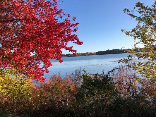 CHAUNCY LAKE - Updated June 2026 - 16 Photos - Lyman St, Westborough ...