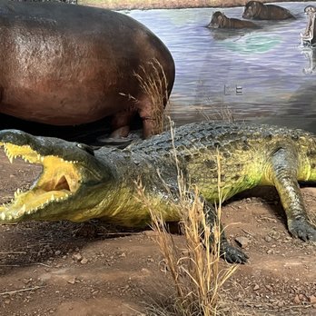 OAKES MUSEUM OF NATURAL HISTORY - Updated December 2025 - 50 Photos - 1 ...