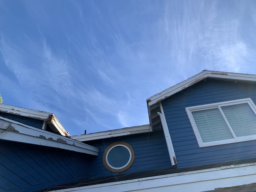 ALL CITY TERMITE COMPANY - Updated October 2025 - 21 Reviews ...