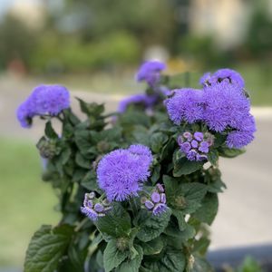 JASPER PLACE LEISURE CENTRE - Updated October 2025 - 9200 163 Street NW ...