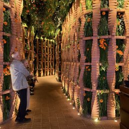 MIJO MODERN MEXICAN RESTAURANT - Updated January 2026 - 2223 Photos ...